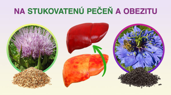 ÚČINOK BYLINIEK - NA PEČEŇ,ŽLČNÍK,OBLIČKY, KRVNÉ A PEČEŇOVÉ TESTY ...